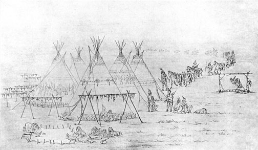 Braintanning Buffalo Robes: An Overview - Traditional Tanners