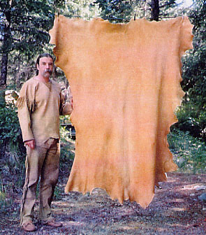 Brain Tanning Elk, Moose and other BIG Hides - Traditional Tanners