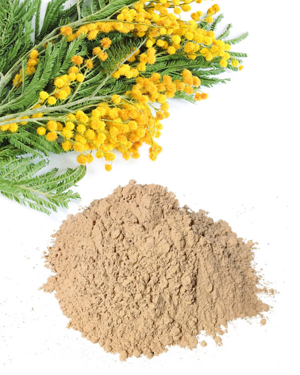 Mimosa Tannin Extract - Traditional Tanners