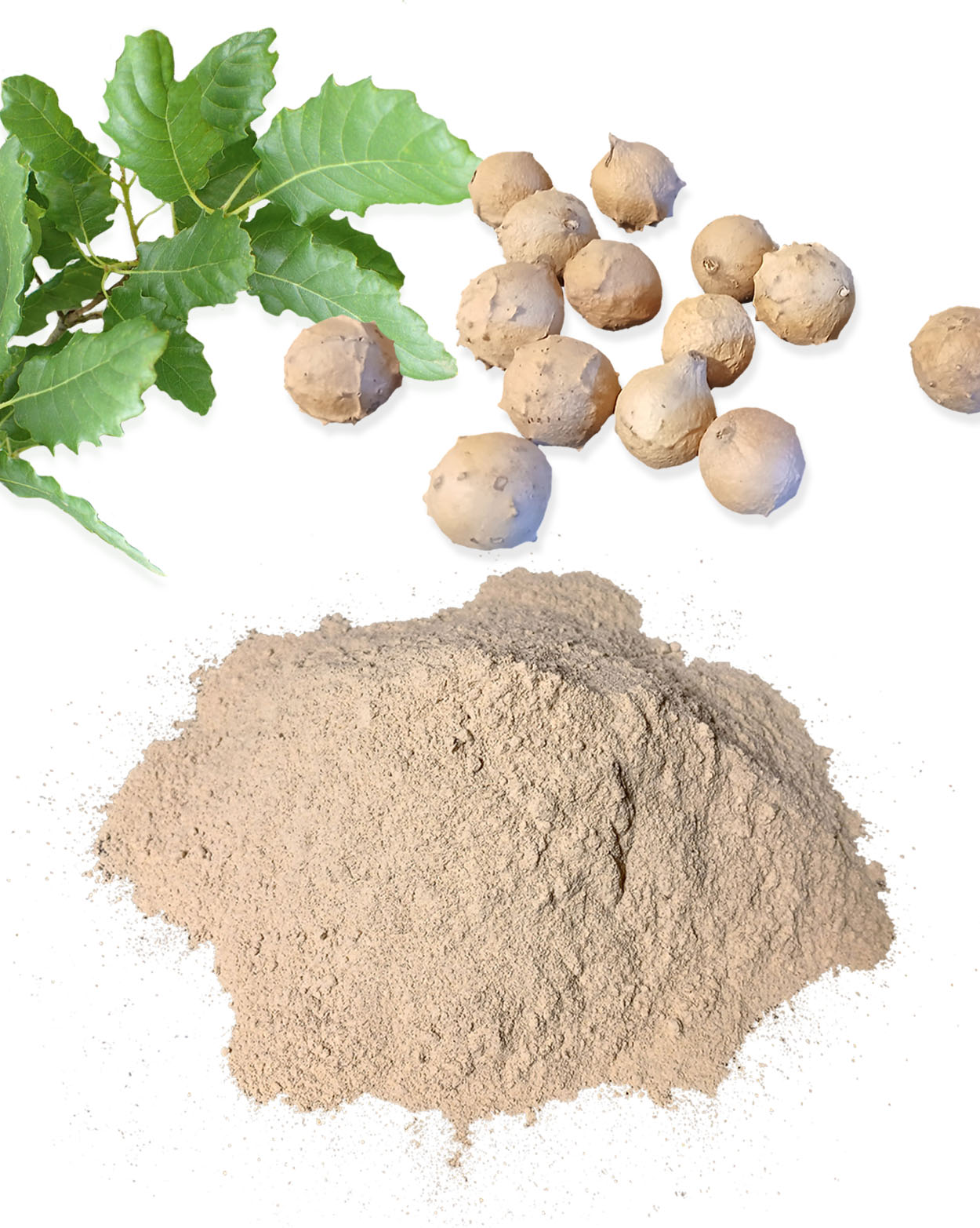 Aleppo Oak Gall Powder - Traditional Tanners