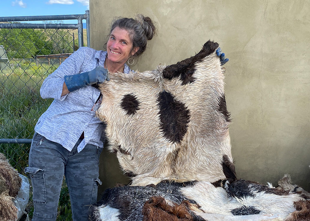 Prep Your Hides - Traditional Tanners